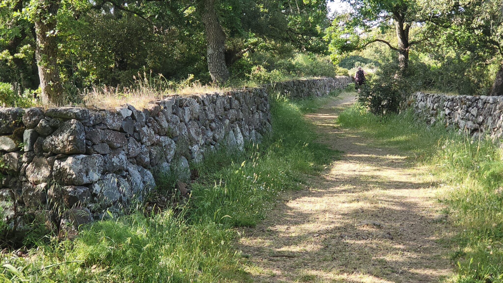 Stone walls: A symbol of New England's history - Herrick & Salsbury, Inc.